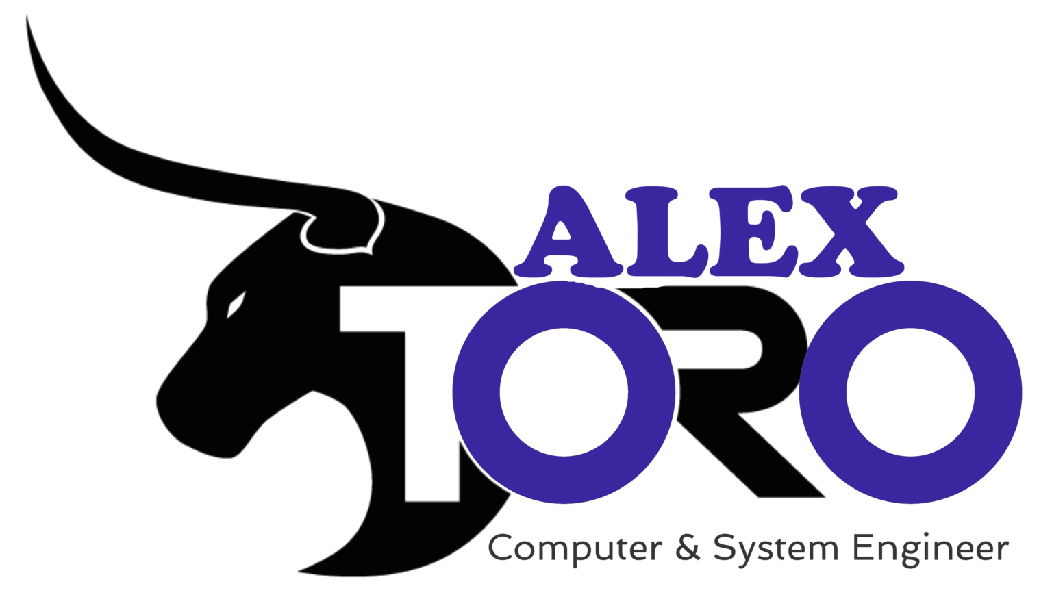 Alex Toro – WordPress Developer